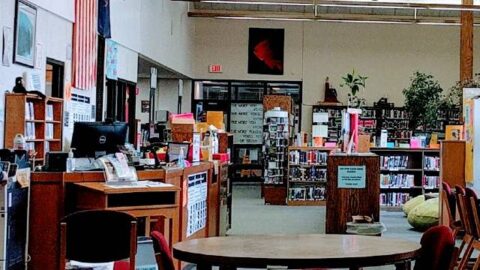 Tahquamenon Library adapts to summer challenges