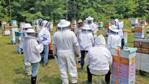 Heroes to Hives receives major development grant
